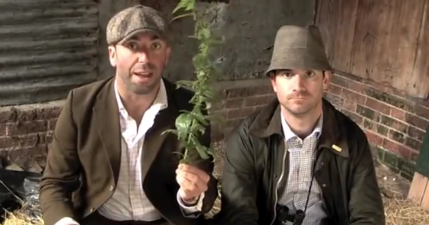 Badger’s Guide to the Countryside: Episode 2 – Stinger Ale - Thinking ...